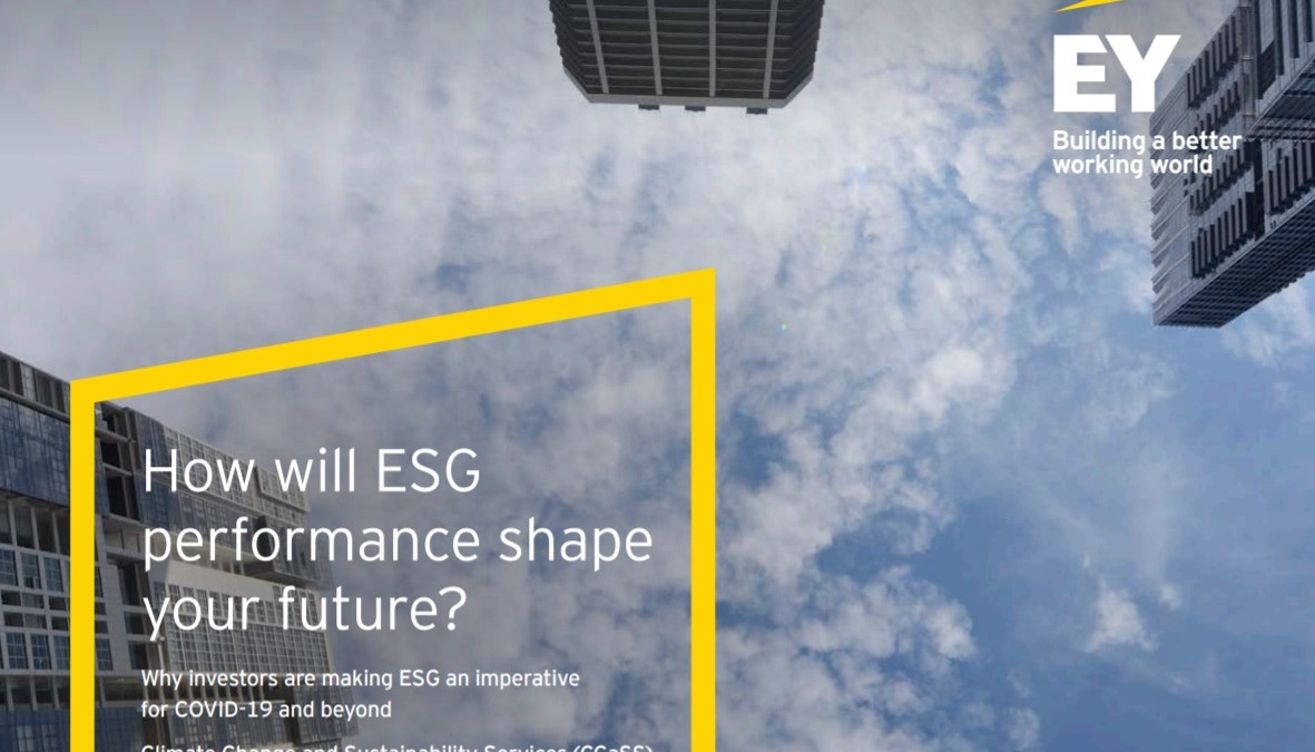 EY: How will ESG performance shape your future? | Financial Investigator